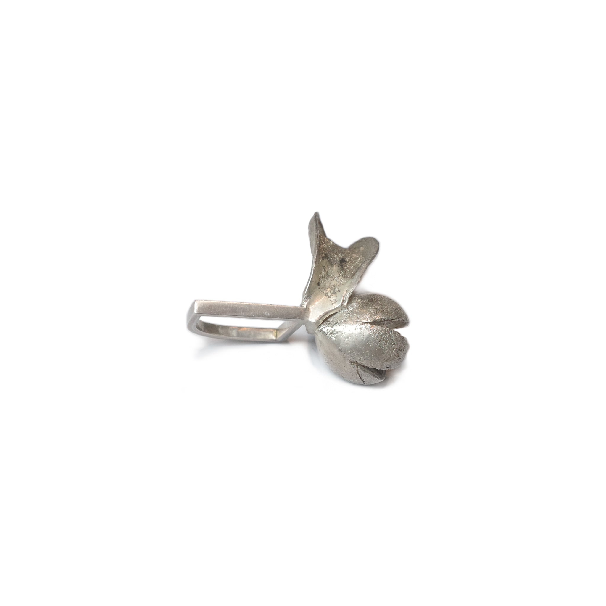 Fossilized Seedform Ring – Atelier Hon'ne